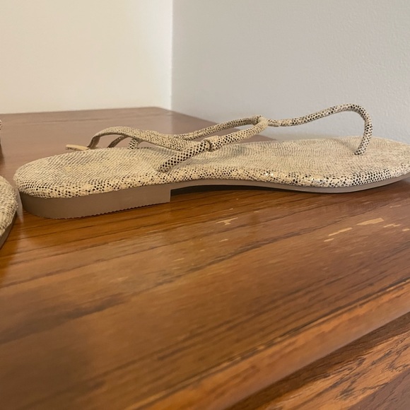 Express | Shoes | Express Snakeskinprint Flat Thong Sandals | Poshmark